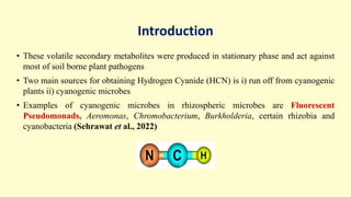 Isolation, screening and quantification of Hydrogen Cyanide (HCN ...