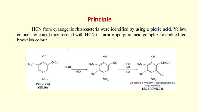 Isolation, screening and quantification of Hydrogen Cyanide (HCN ...