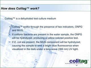Colitag 16 - 48 Hour Presentation | PPT
