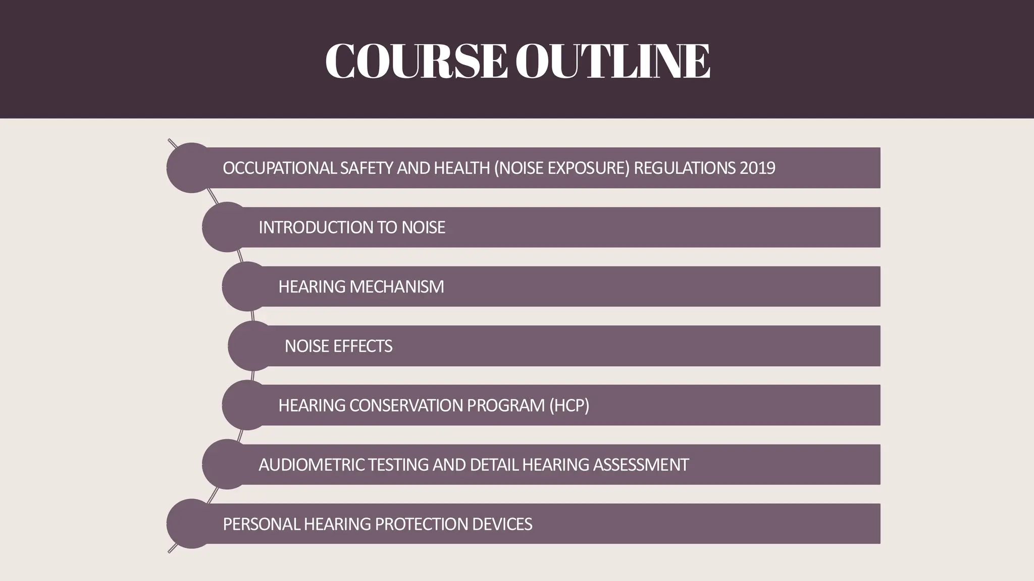 Hearing Conservation Program Noise 1 Pdf