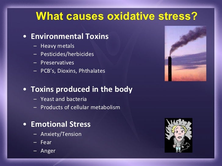 The Cady White Paper Review Rationale For Antioxidant And Nutrien the-cady-white-paper-review-rationale-for-antioxidant-and-nutrien