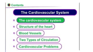 Cardiovascular System | PDF