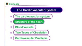 Cardiovascular System | PDF