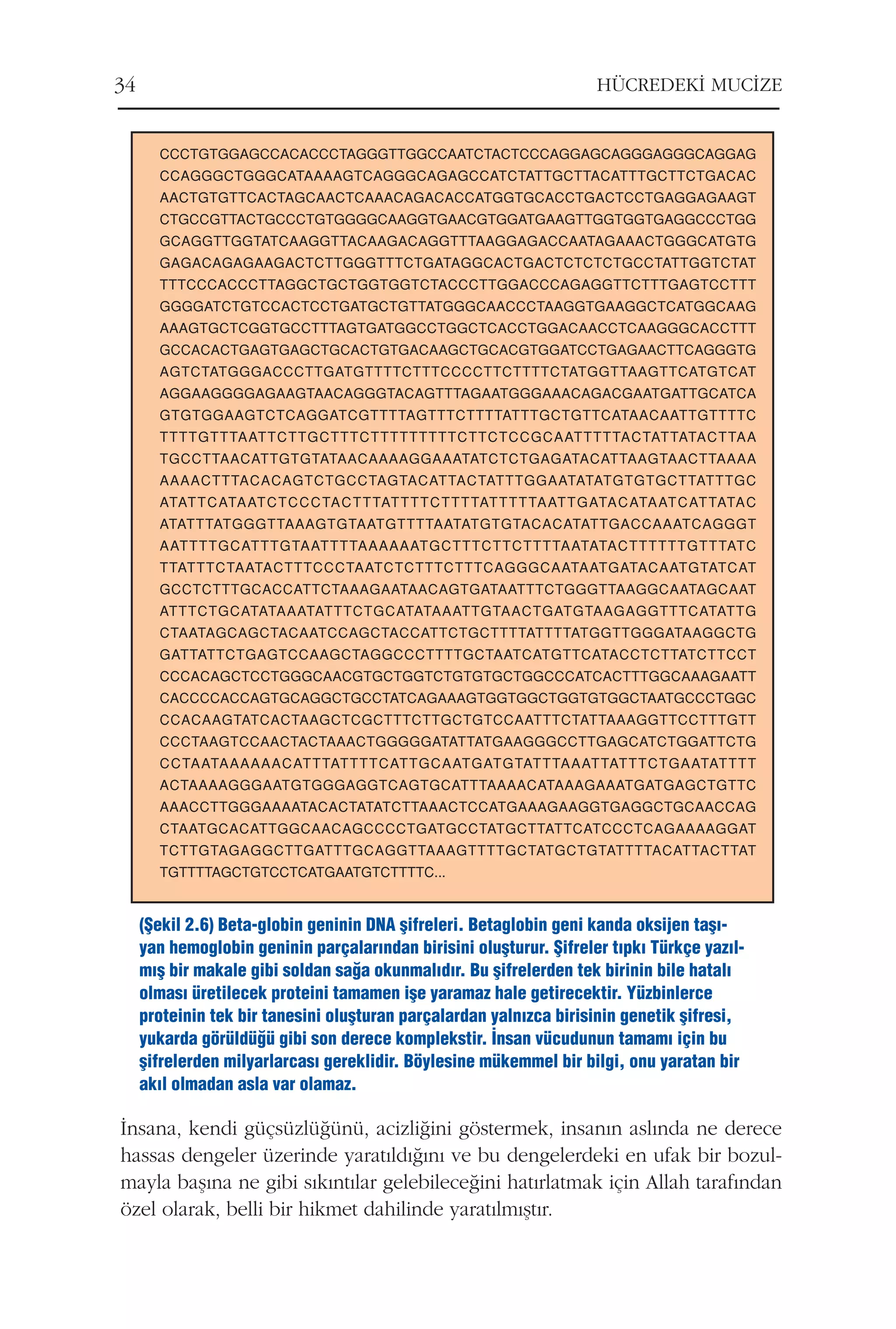 Hücredeki mucize. turkish (türkçe) | PDF