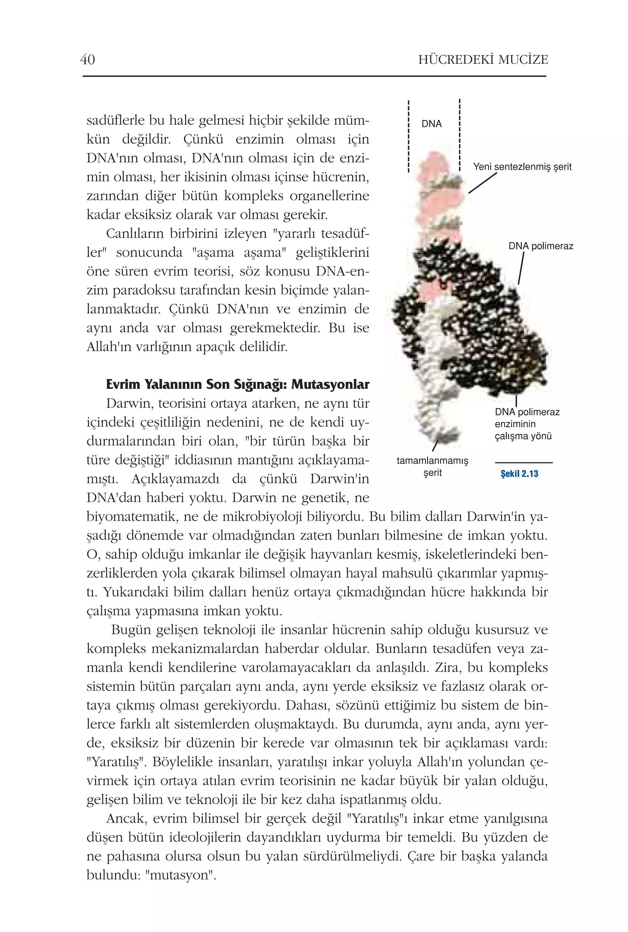 Hücredeki mucize. turkish (türkçe) | PDF
