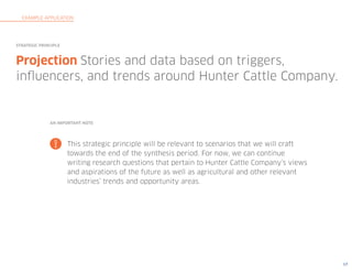 Hunter Cattle Company - Internal Research Plan | PDF