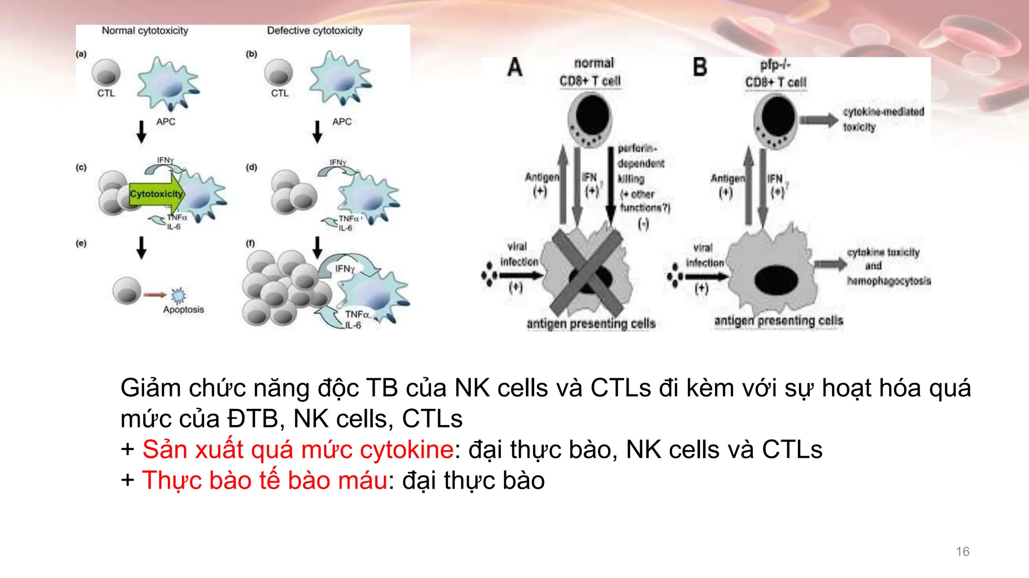 Hội chứng thực bào tế bào máu.pptx (Hemophagocytic lymphohistiocytosis) | PPTX