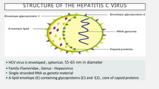 Hepatitis c virus in blood transfusion | PPTX | Infectious Diseases ...