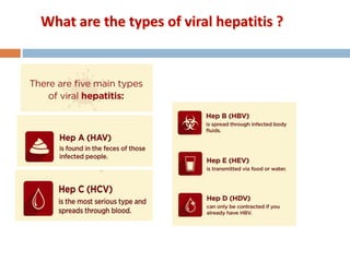 Basics of Hepatitis C | PPTX