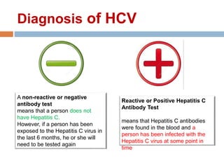 Basics of Hepatitis C | PPTX | Blood Disorders | Diseases and Conditions