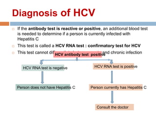 Basics of Hepatitis C | PPTX
