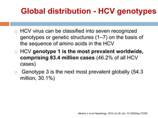 Basics of Hepatitis C | PPTX | Blood Disorders | Diseases and Conditions