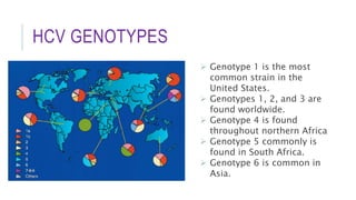 Hcv genotyping | PPTX