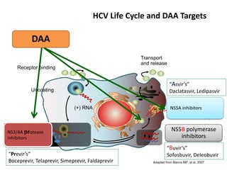 Hepatitis C Updated Treatment Protocol (egytian guidelines) | PPT