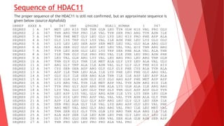 HDAC11, A New Target For Cancer.pptx