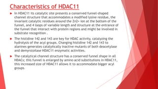 HDAC11, A New Target For Cancer.pptx