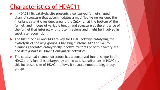 HDAC11, A New Target For Cancer.pptx