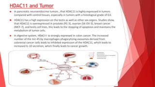 HDAC11, A New Target For Cancer.pptx
