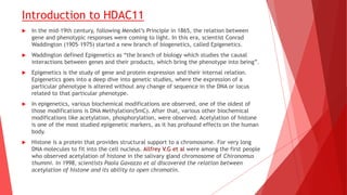 HDAC11, A New Target For Cancer.pptx