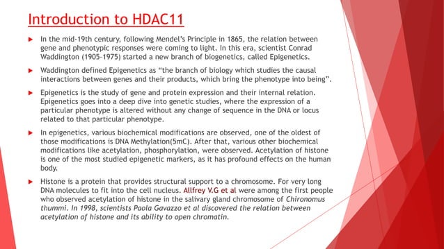 HDAC11, A New Target For Cancer.pptx