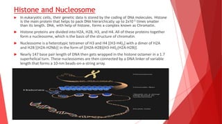 HDAC11, A New Target For Cancer.pptx