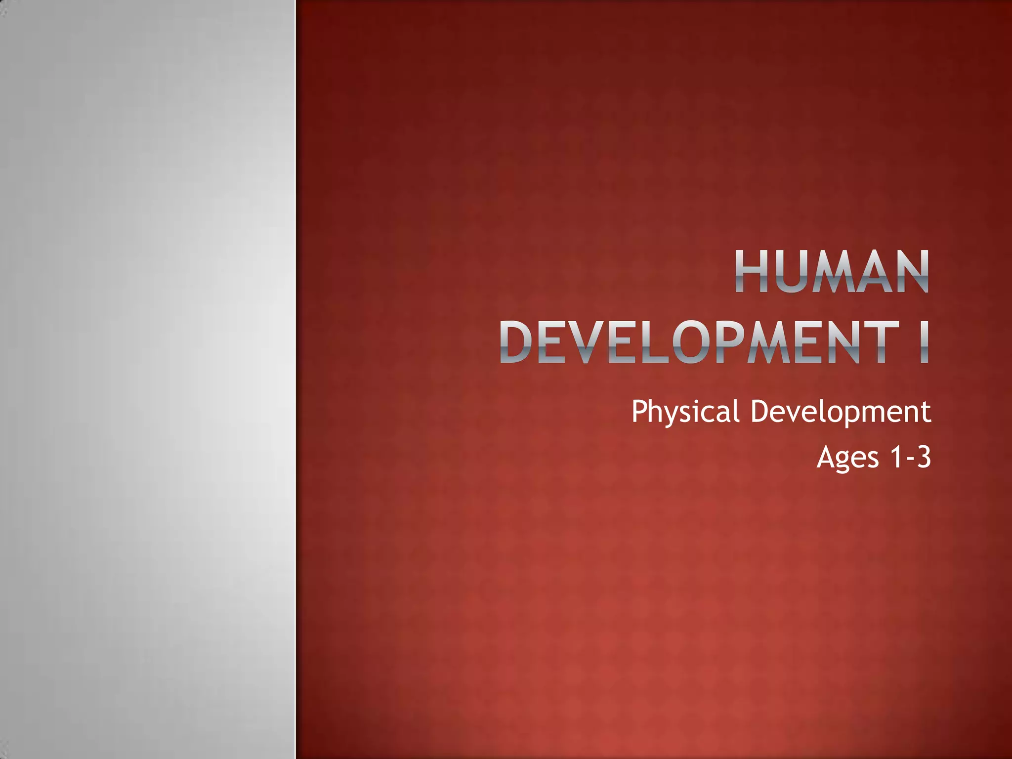 Human Development - Chapter 10, Physical Development, Ages 1-3 | PPT