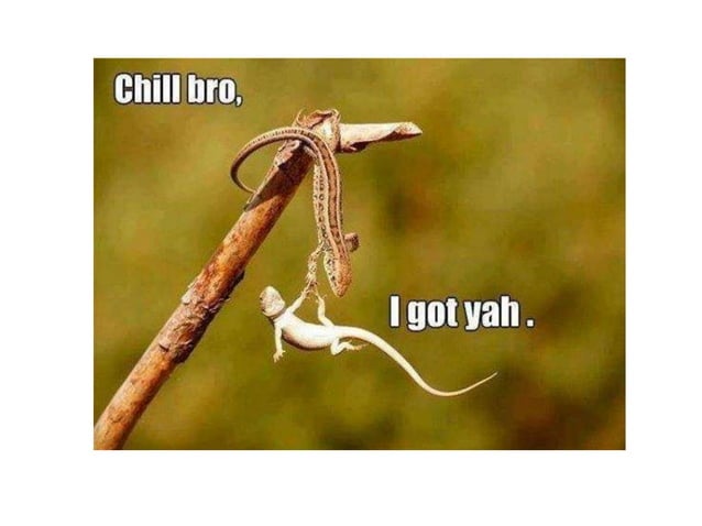 Short Point PowerPoint: Why good leaders make you feel safe! | PPTX