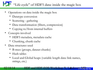 HDF5 Life cycle of data | PPT