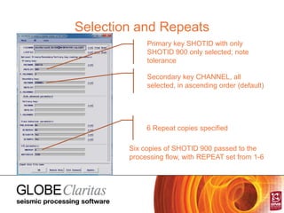 A quick start guide to using HDF5 files in GLOBE Claritas | PPTX