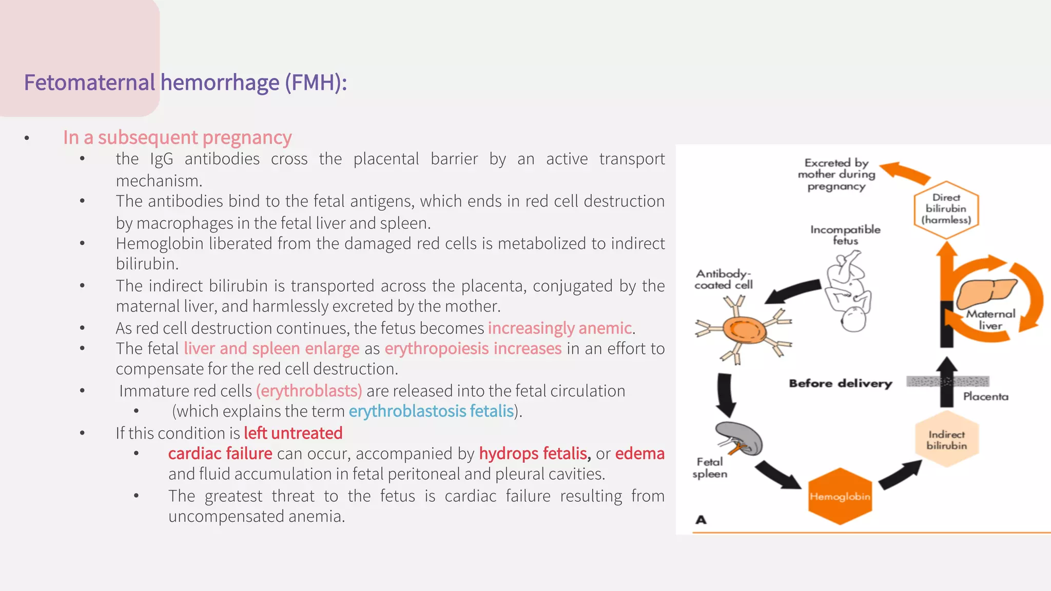 Hemolytic Disease of the Fetus and Newborn (HDFN) | PDF | Pregnancy ...