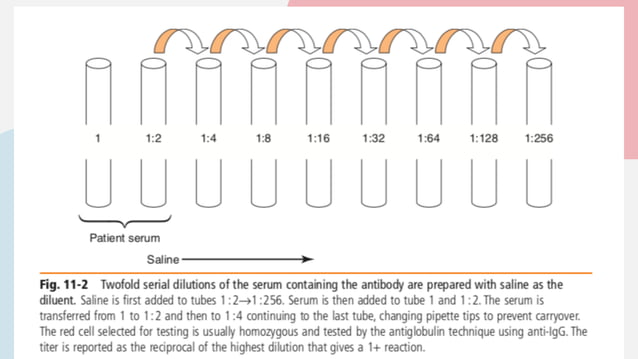 Hemolytic Disease of the Fetus and Newborn (HDFN) | PDF | Pregnancy ...