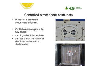 hdg checking containers 2013 | PPT