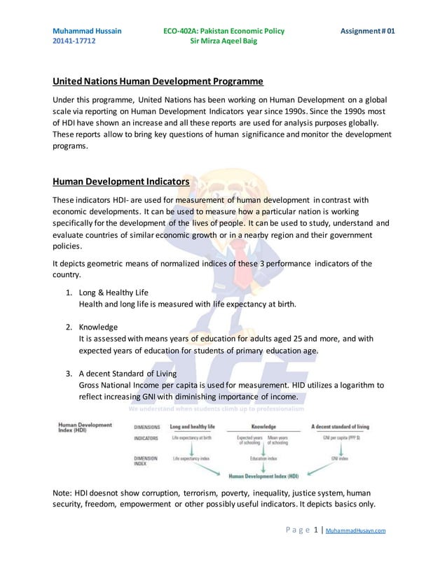 Human Development Index- Pakistan | DOCX | Internet | Computing