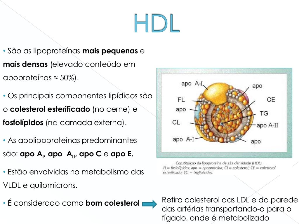 Hdl
