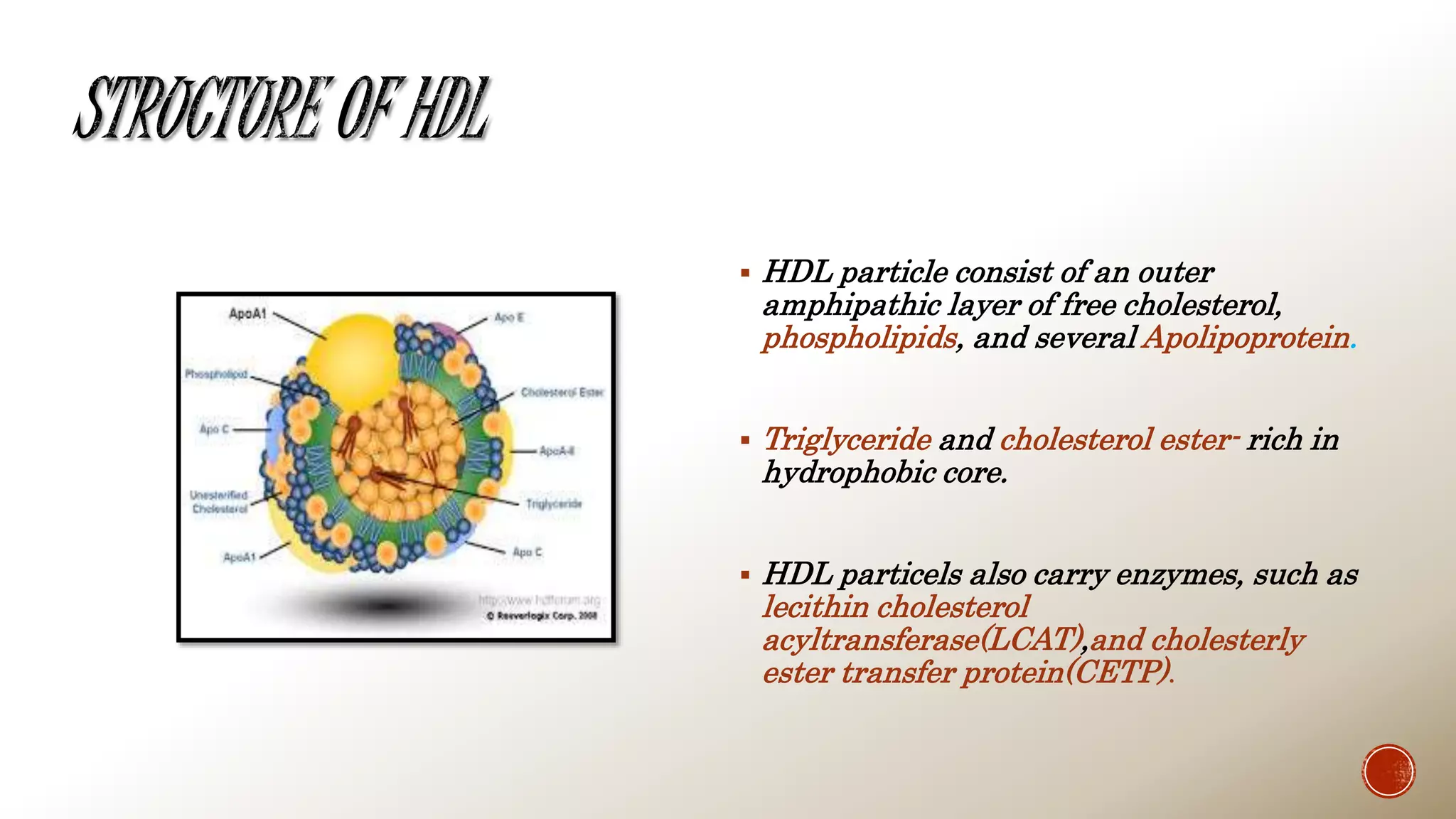 Hdl. high density lipoprotein | PPTX