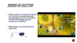 Hdl. high density lipoprotein | PPTX