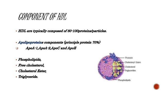Hdl. high density lipoprotein
