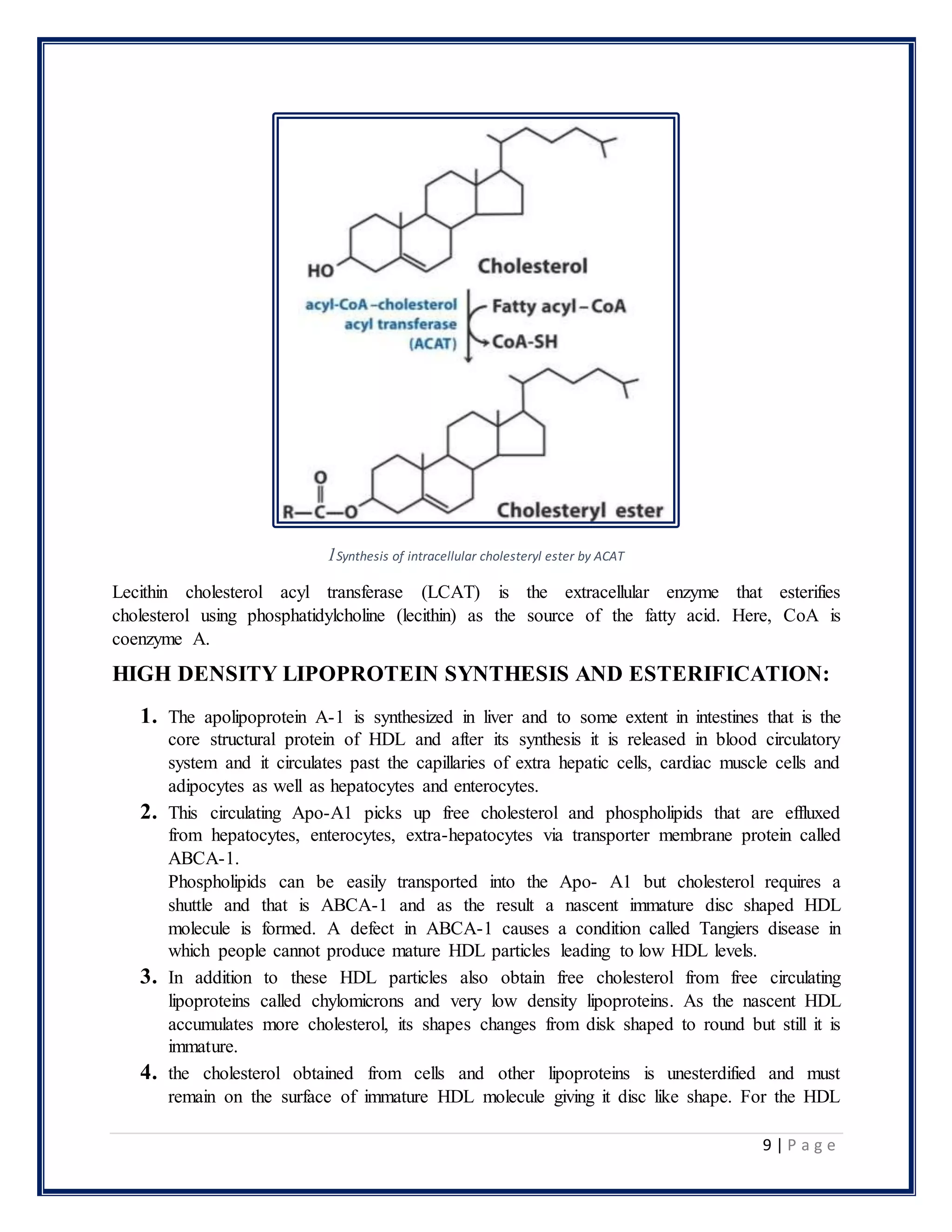 Lipoproteins and their metabolism | DOCX