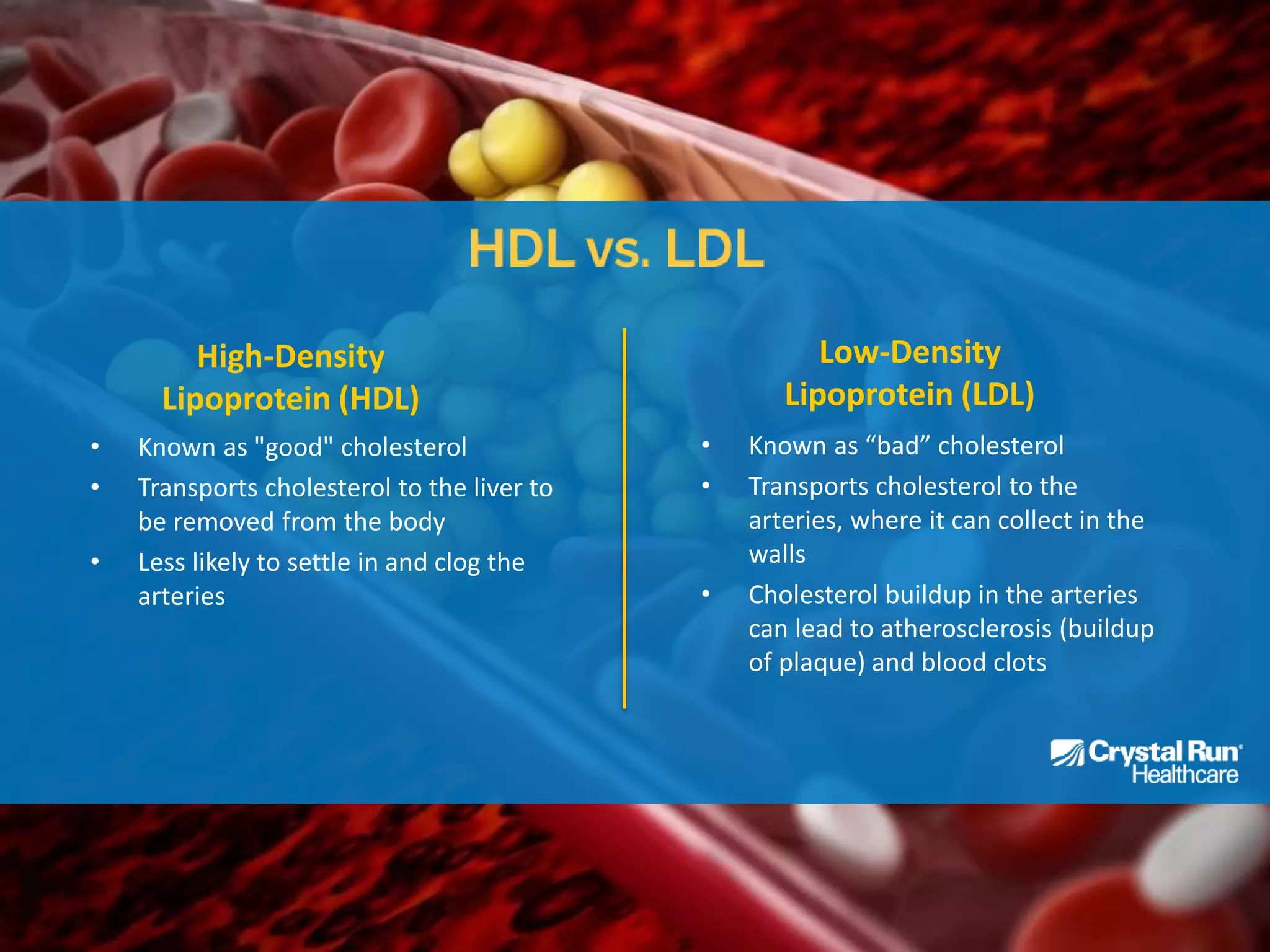 HDL vs. LDL Cholesterol | PDF