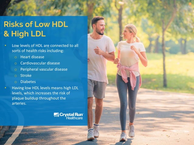HDL vs. LDL Cholesterol | PDF