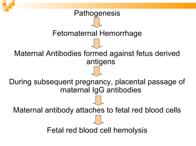 hemolytic disease of new born | PPT | Pregnancy | Reproductive Health