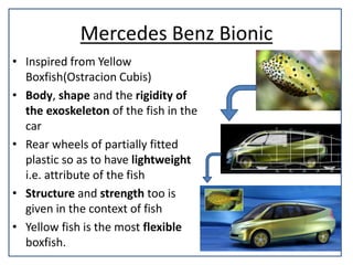 Hdpd biomimcry | PPTX