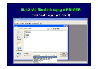 Hướng dẫn sử dụng phần mềm Primer 6 - PGS TS. Viên Ngọc Nam | PDF