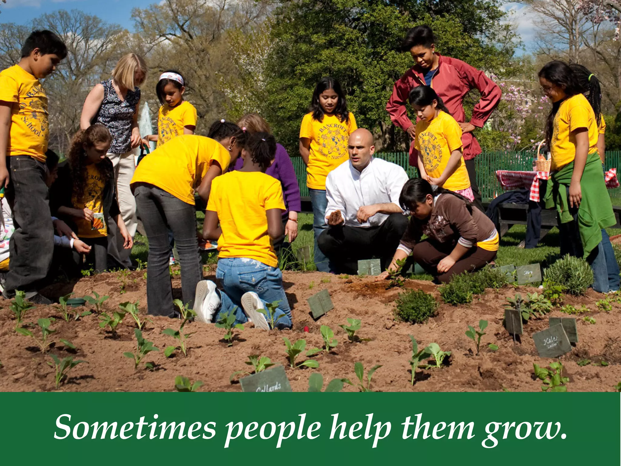 How Do People Use Plants? | PDF