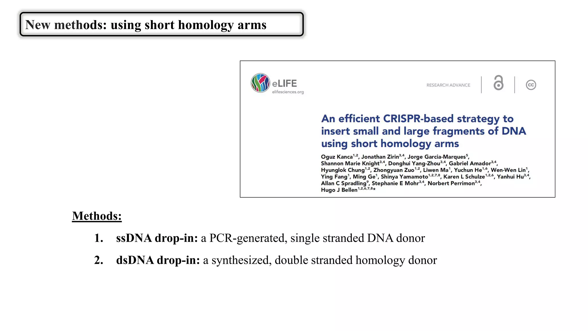 Homology directed repair (HDR) Knock-in | PPTX