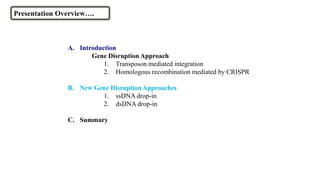 Homology directed repair (HDR) Knock-in | PPTX