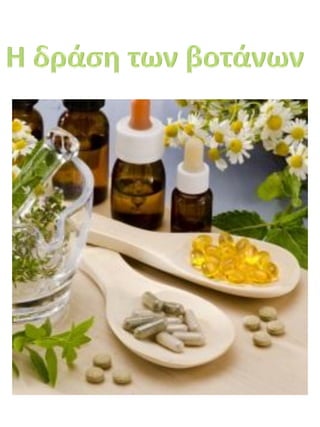 Τι θεραπεύουν τα βότανα; | PDF