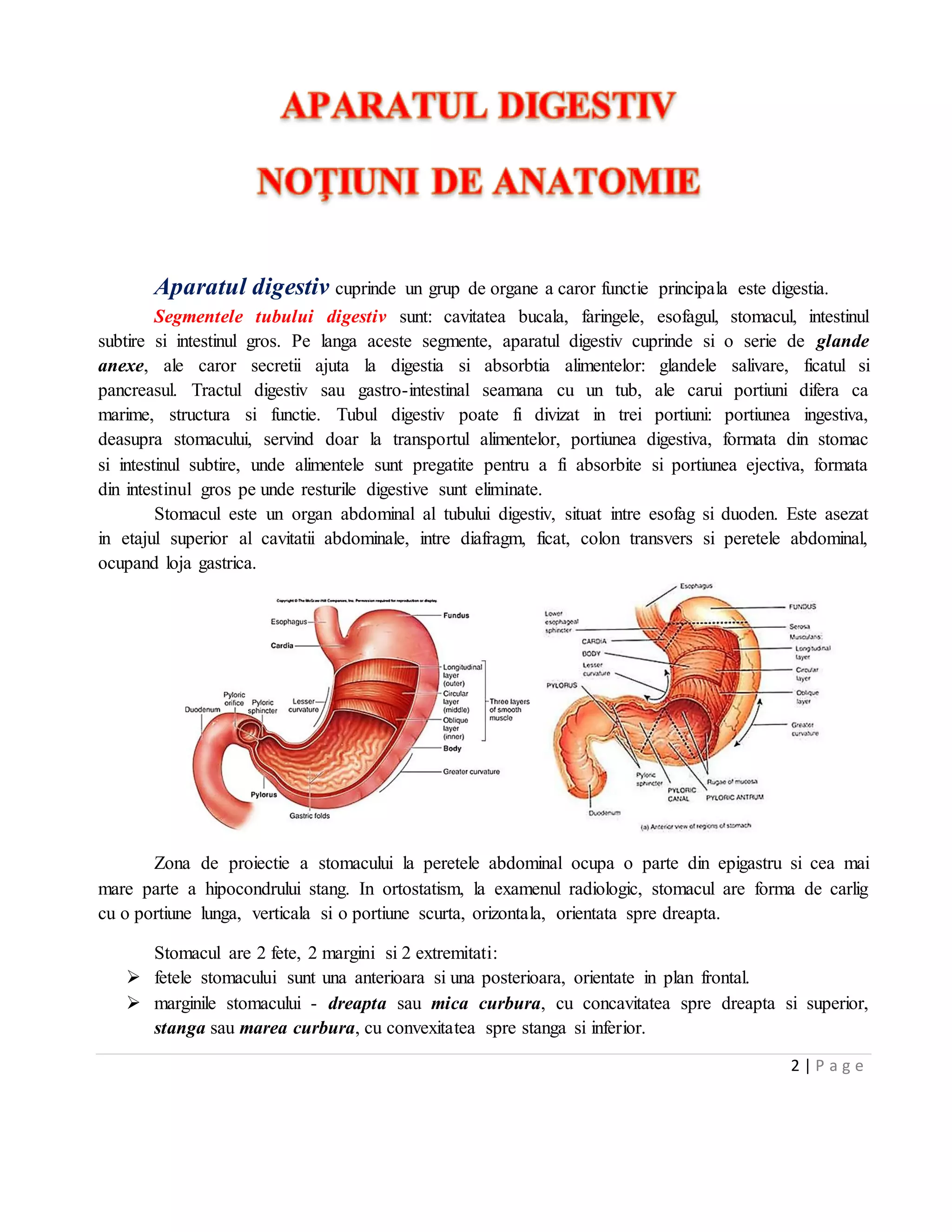 Hds | PDF