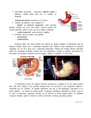 Hds | PDF