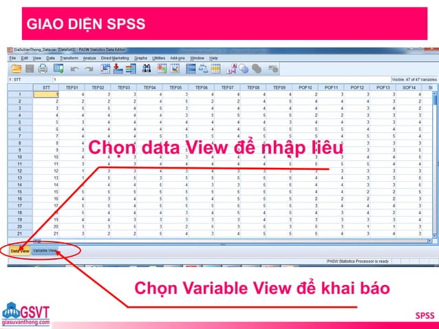 Hdsd spss phan-1 | PPT